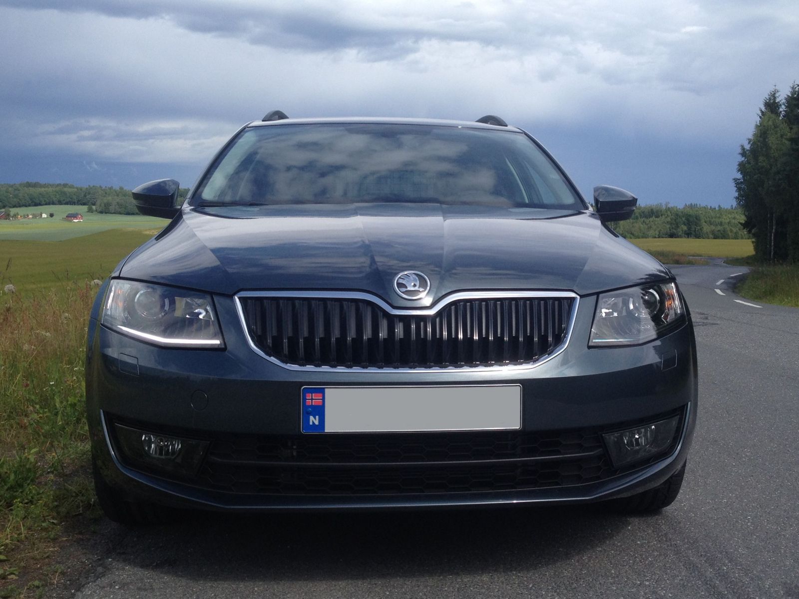 Octavia Metal Grey 2 - Octavia MKII 2004-2013 - BRISKODA