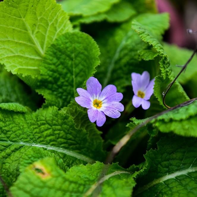 New camera, realised how bad I am at taking photos... - Photography and ...