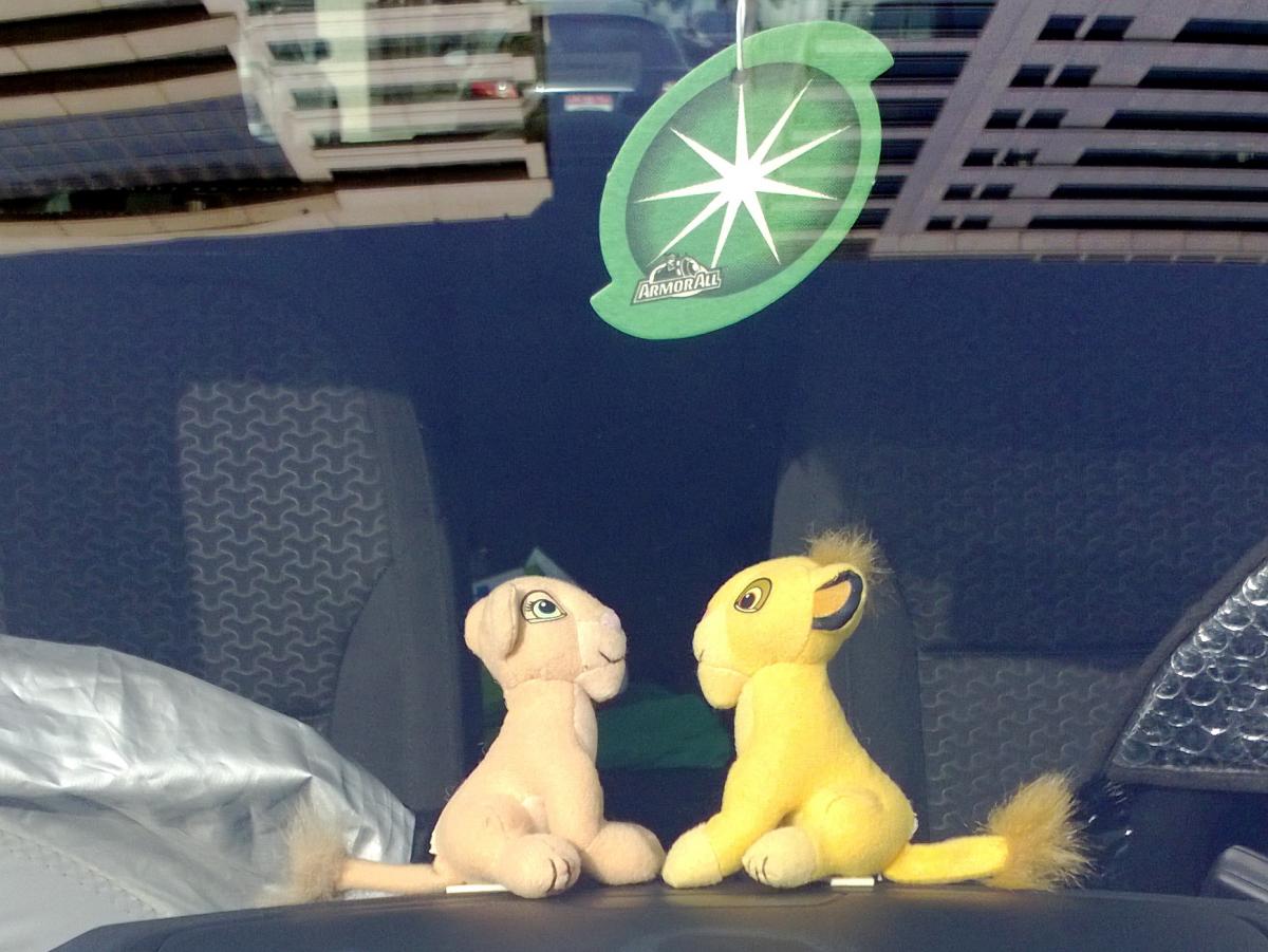 SIMBA with his girlfriend NALA sitting in SIMBA - Skoda Yeti - BRISKODA