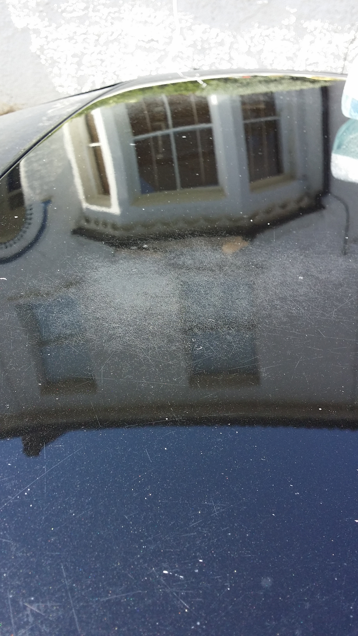 Bird poop marks and weird marks on roof. Can I get them out? - Styling ...