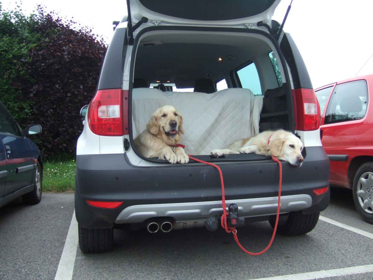 Roomster to Yeti. Good move? - Skoda Yeti - BRISKODA