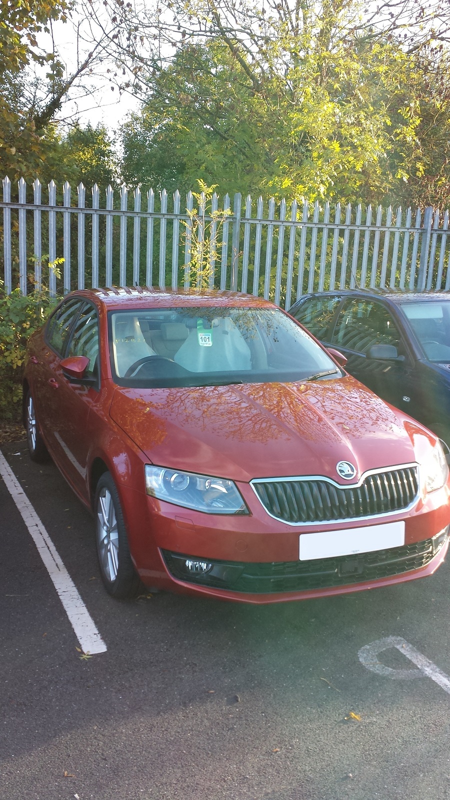 Rio Red Metallic - Page 4 - Skoda Octavia Mk3 (2013 - 2020) - BRISKODA