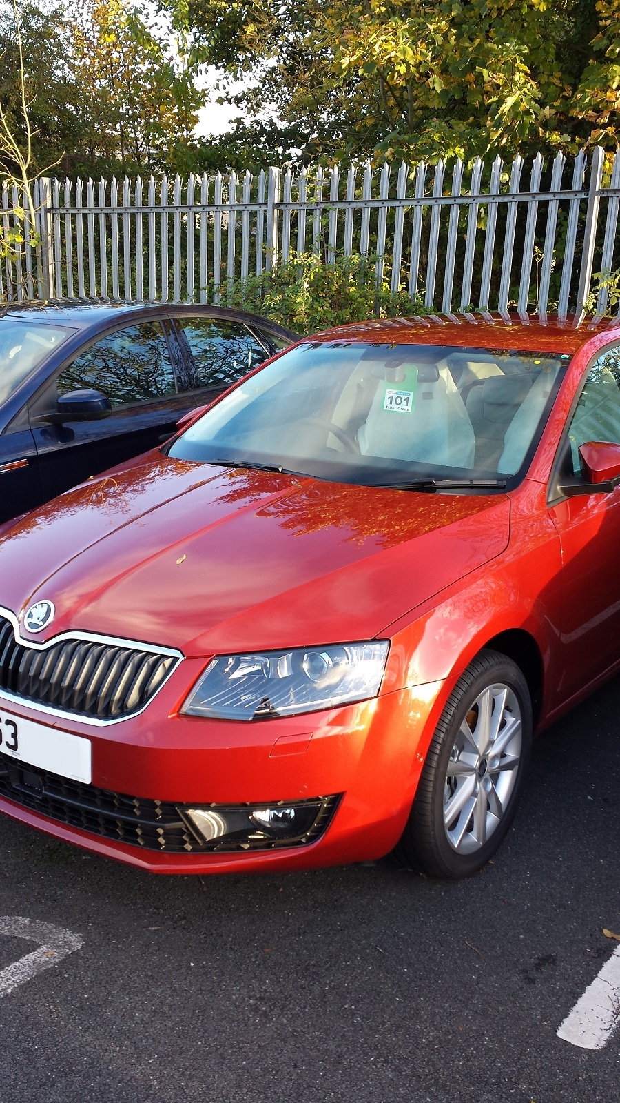 Rio Red Metallic - Page 4 - Skoda Octavia Mk3 (2013 - 2020) - BRISKODA