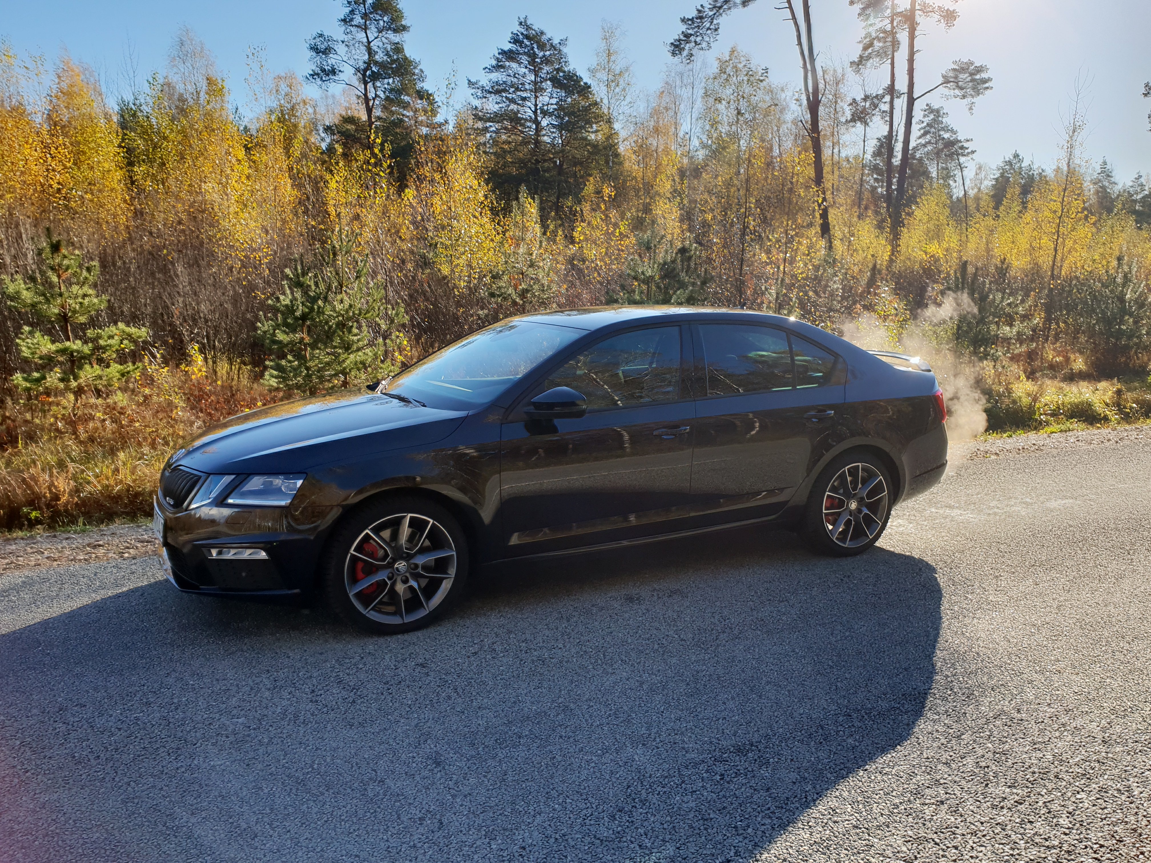 virtual cockpit - Skoda Octavia Mk3 (2013 - 2020) - BRISKODA