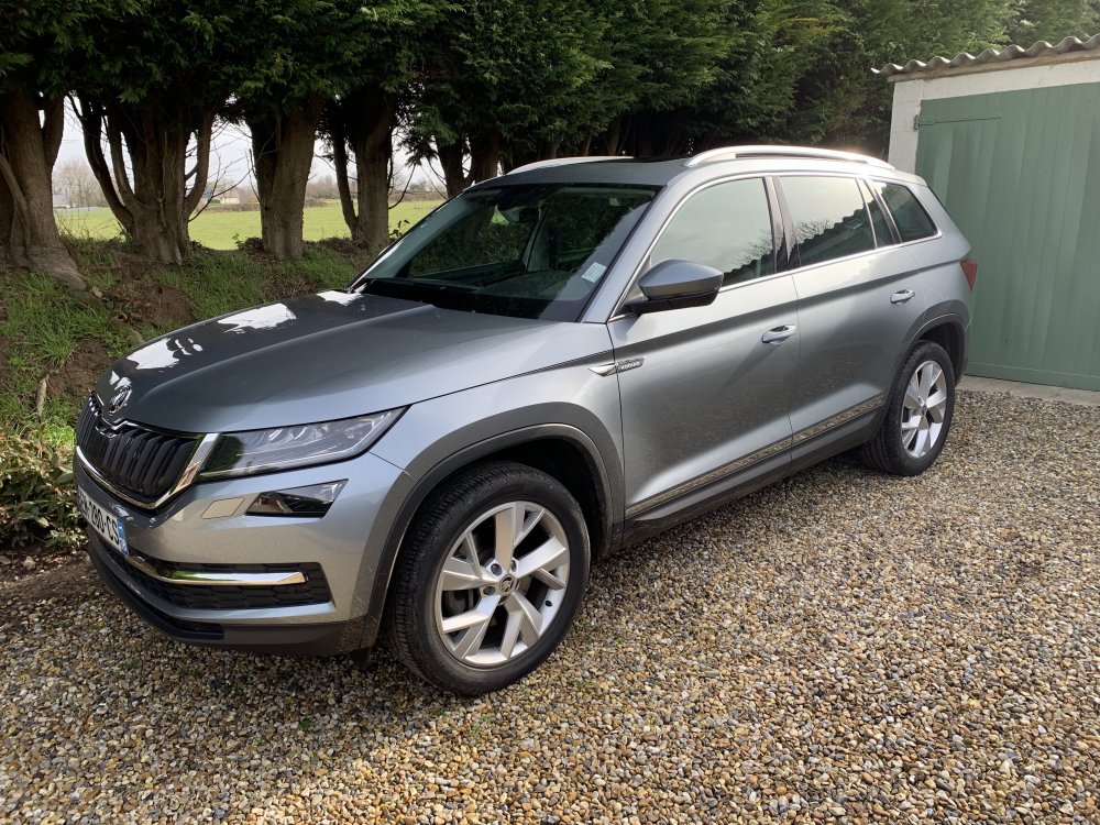 Kodiaq in Business Grey Metallic - images? - Skoda Kodiaq MK1 (2017 ...