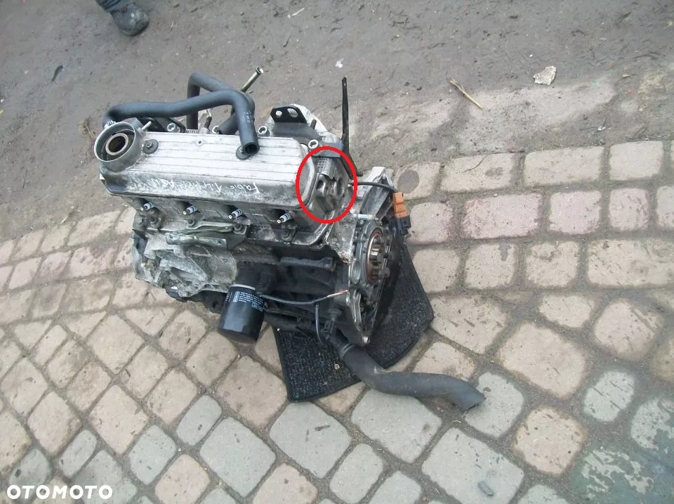 Oil leak... what goes here? AQW 1.4 MPI - Skoda Fabia Mk1 (1999-2007 ...