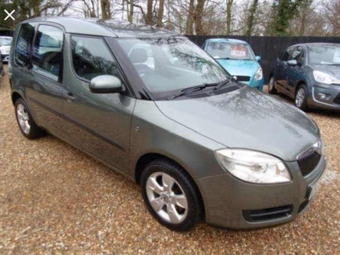 Staffy-tribe - BRISKODA