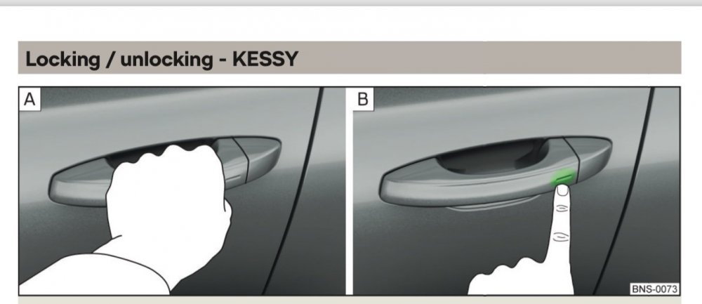 Keyless Entry problem - Škoda Kamiq - BRISKODA