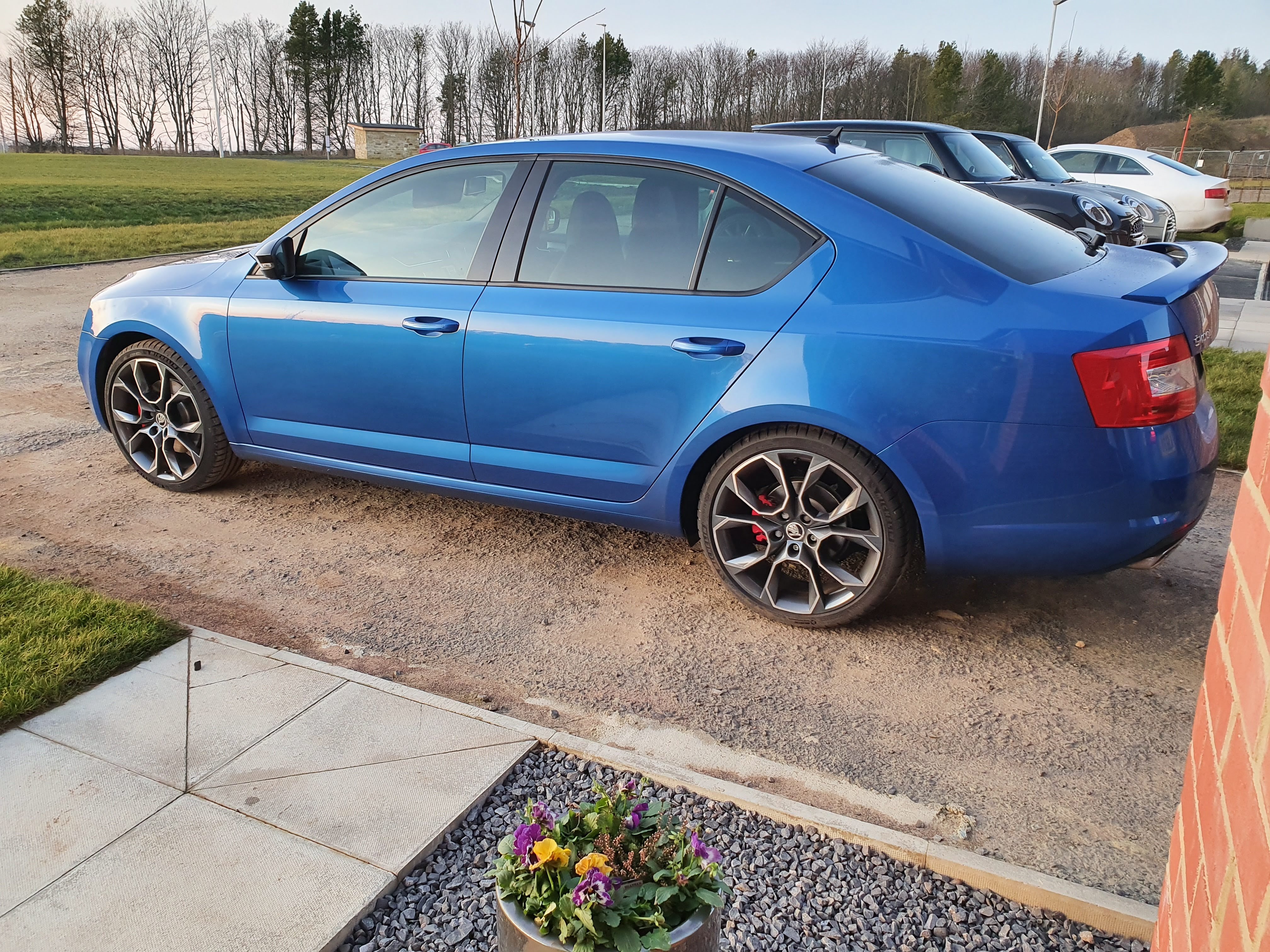 Not another Race Blue RS - Octavia Projects - BRISKODA