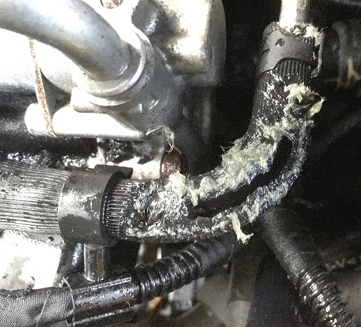 how to deter mice from biting cables and fuel hoses - General ...