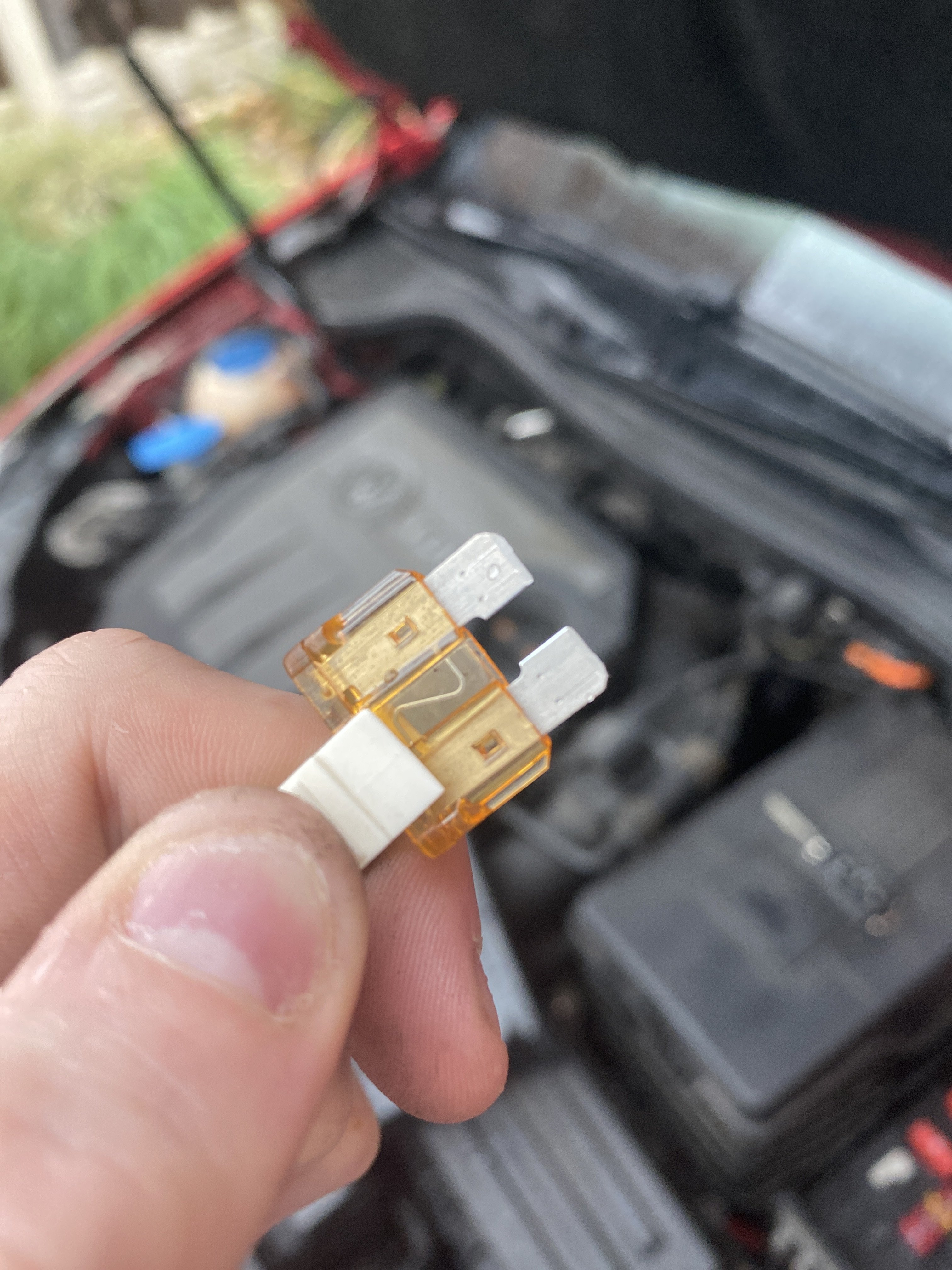 02391 Terminal 30 Reference - Diagnostics & VCDS - BRISKODA