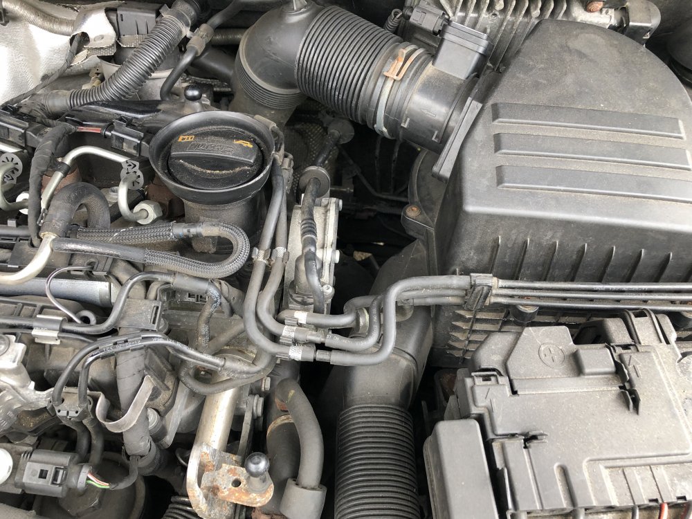 Error P242a , 1.6 TDI CAYC - Skoda Fabia Mk2 (2007-2014) - BRISKODA