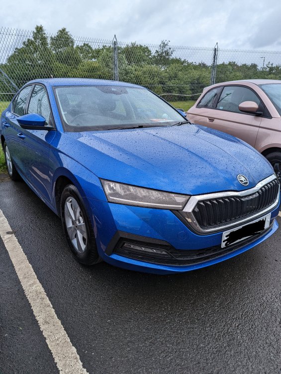 Energy Blue or Race Blue - Skoda Octavia Mk4 (2020 > ) - BRISKODA