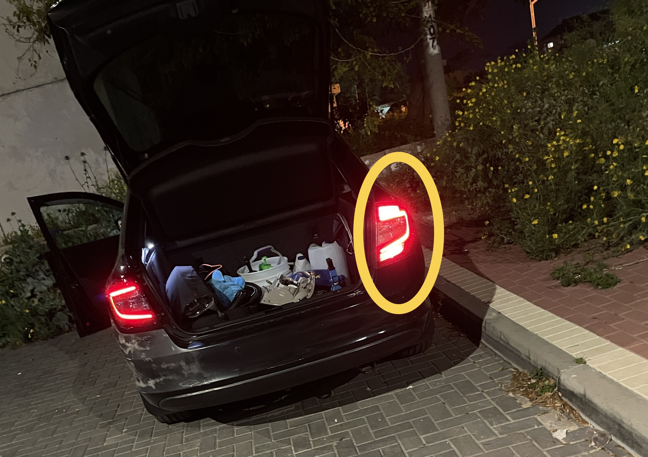 How to deactivate lamps - Diagnostics & VCDS - BRISKODA