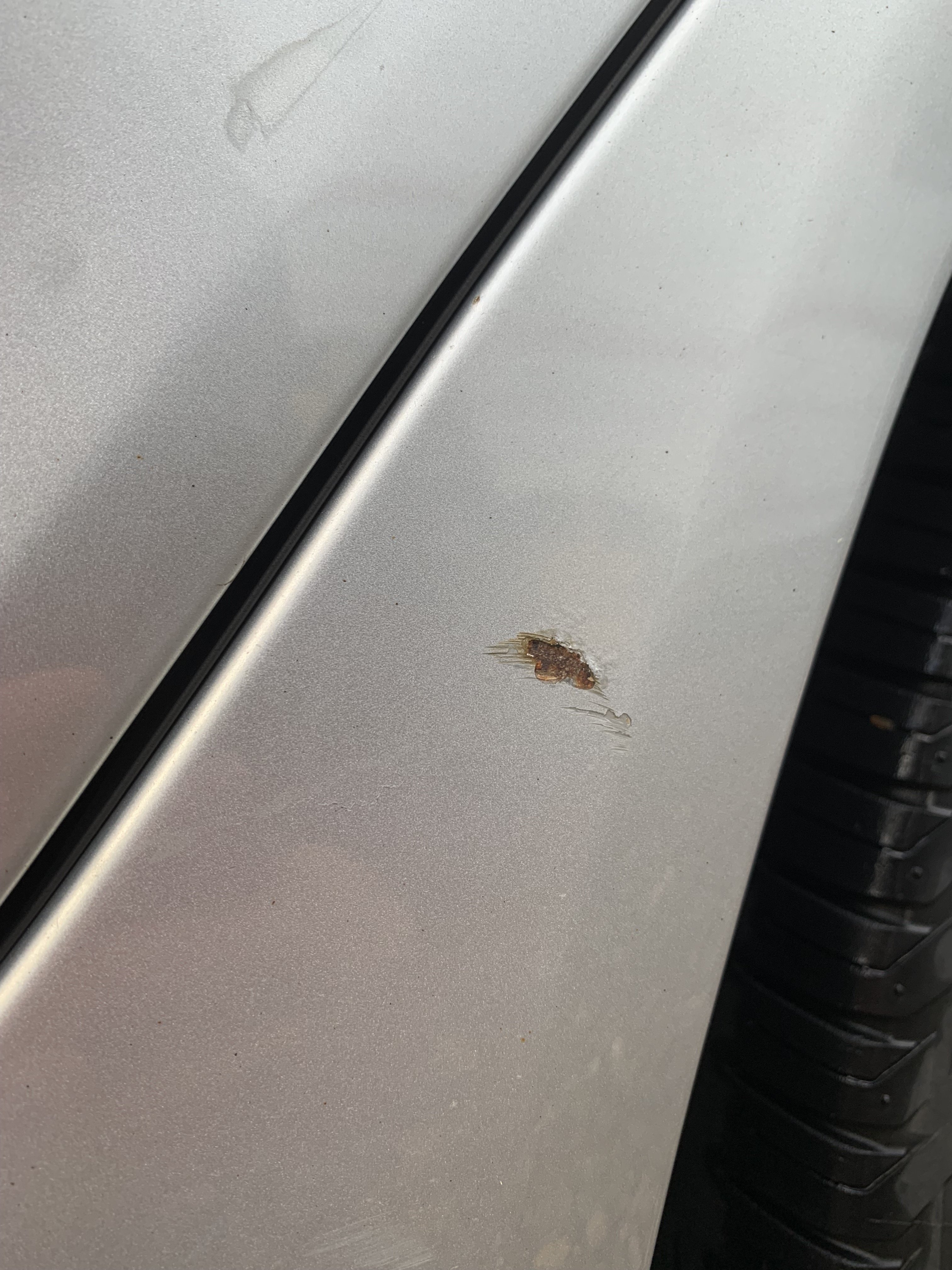 Rusty scratch. - Styling and Car Care - BRISKODA