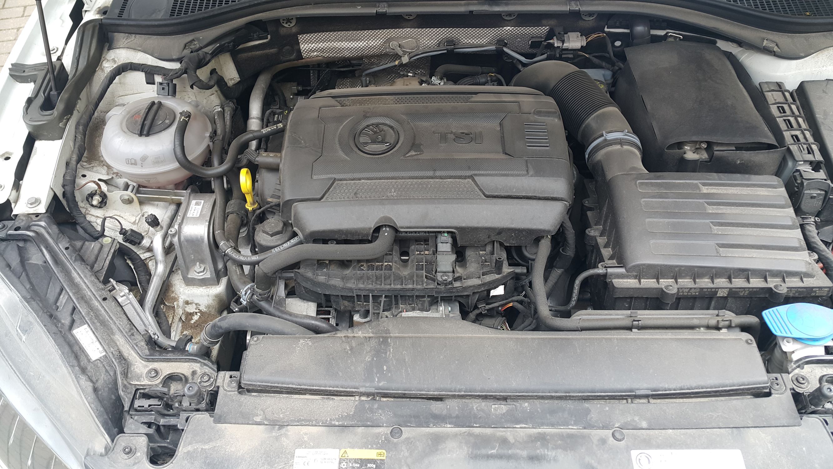 Superb engine bays (2.0tsi) - Skoda Superb Mk3 (2015 - 2023) - BRISKODA