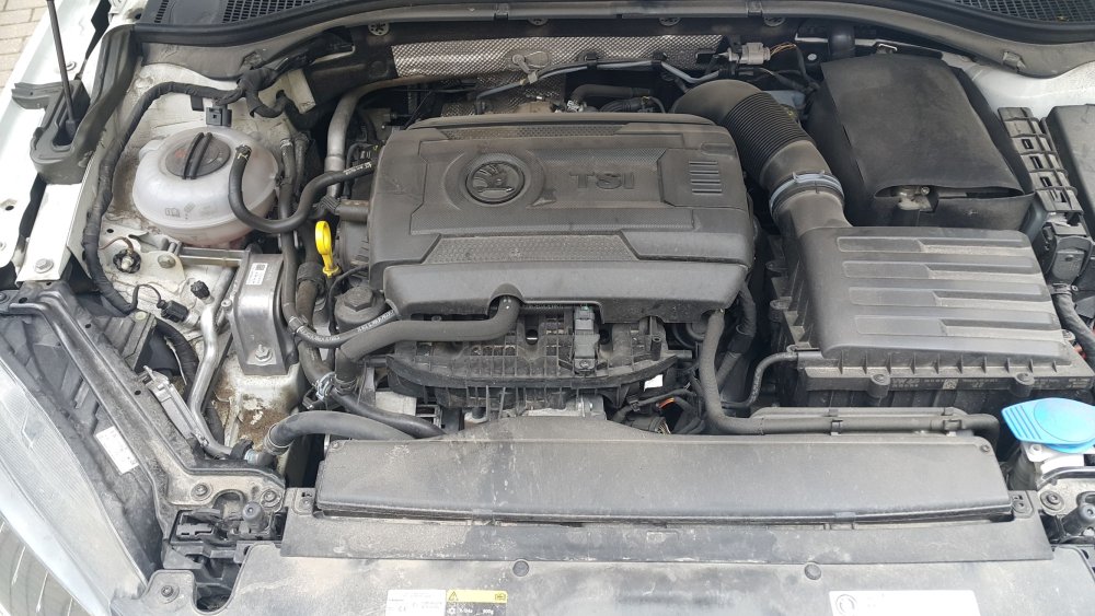 Superb engine bays (2.0tsi) - Skoda Superb Mk3 (2015 - 2023) - BRISKODA