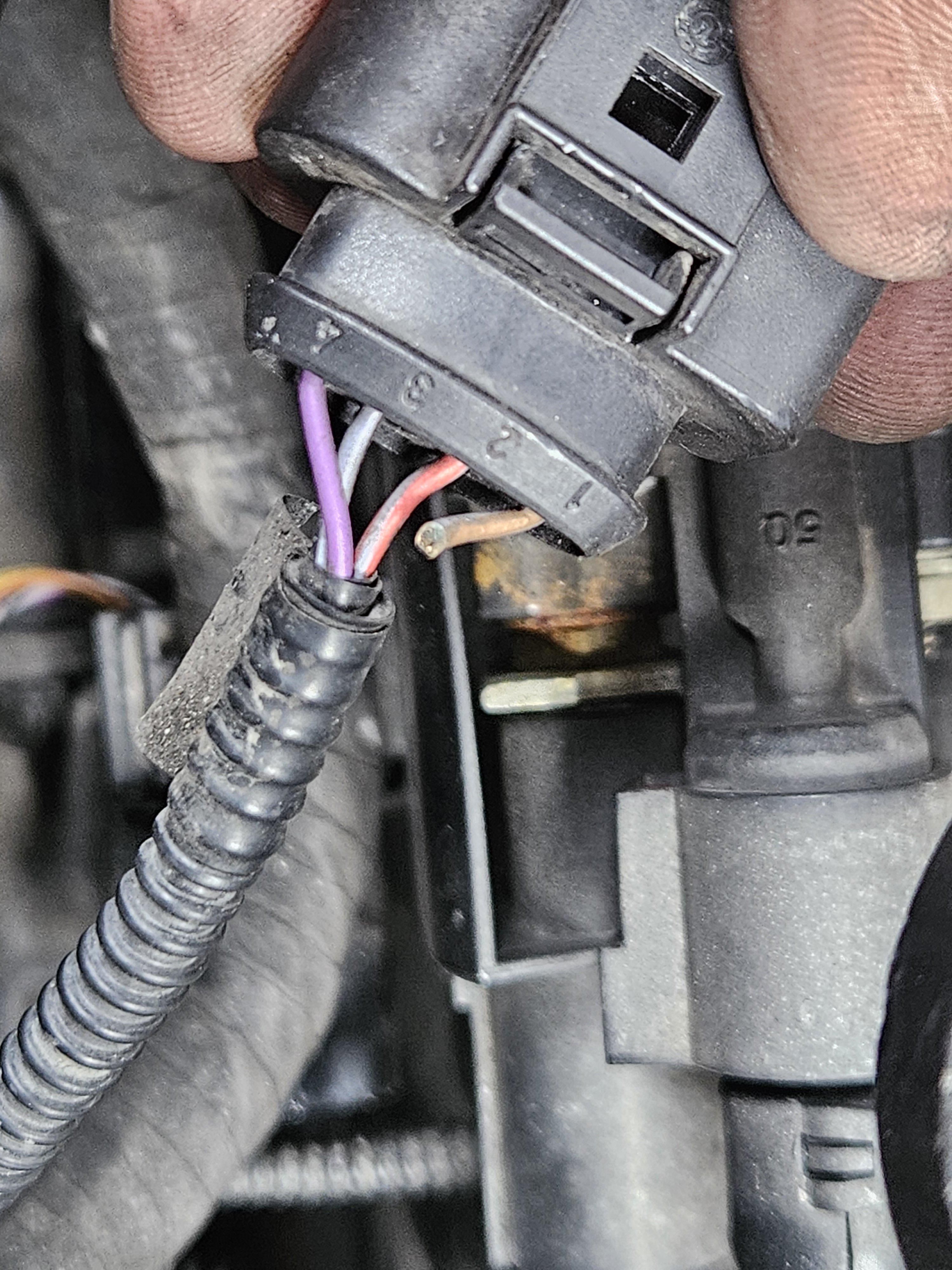 Limp mode with P0238 and P0113 error codes - Skoda Superb Mk2 (2008-2015) - BRISKODA