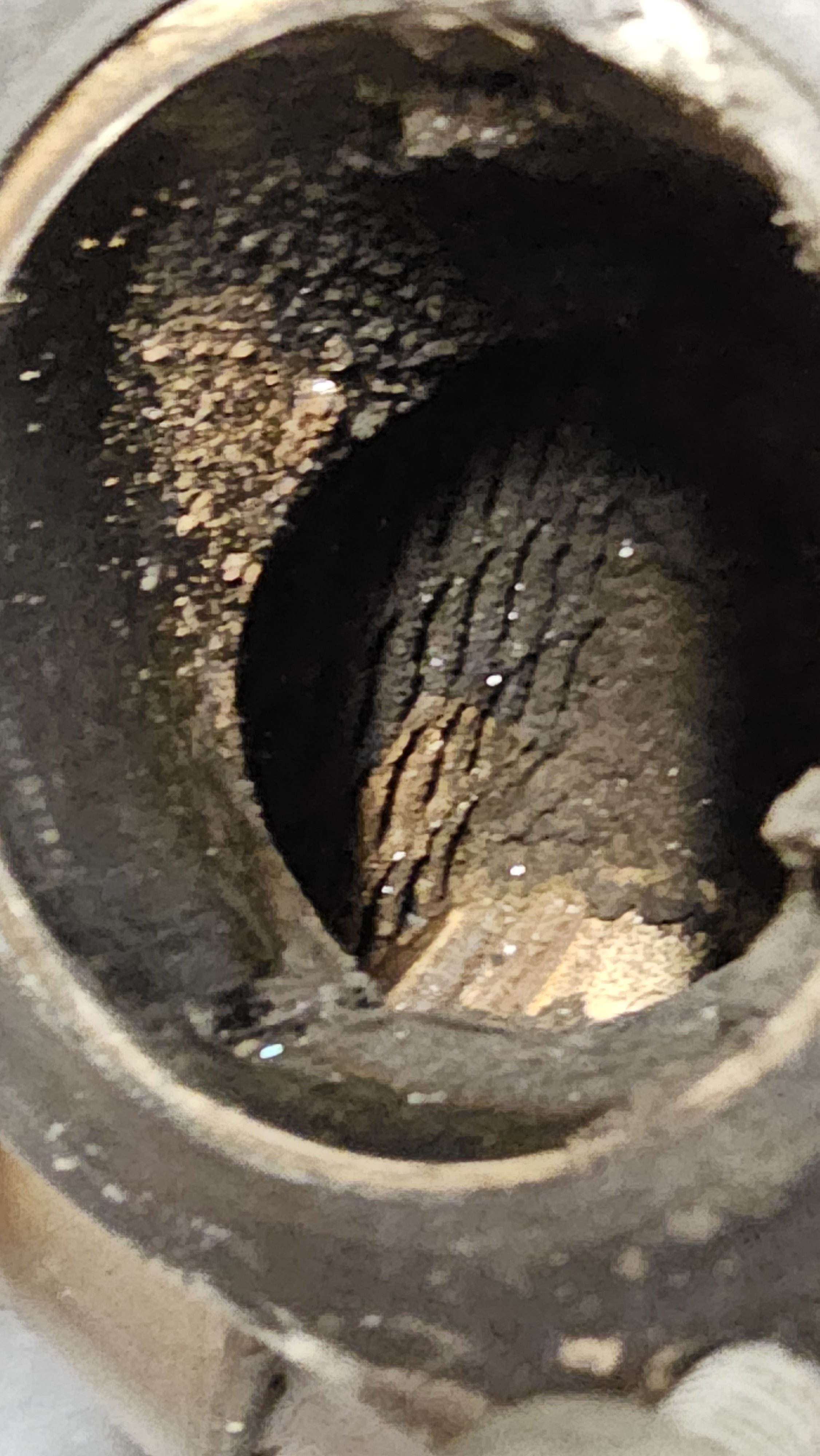 P2002 and P20EE fault codes. - Skoda Superb Mk3 (2015 - 2023) - BRISKODA