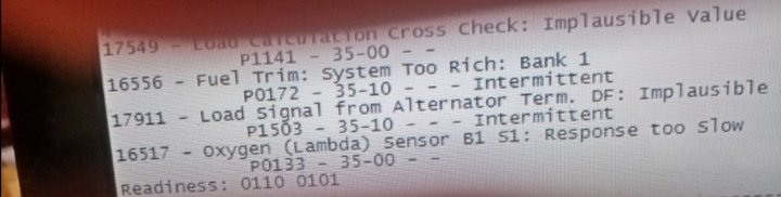 16517-P0133, 17911-P1503 codes - Skoda Fabia Mk1 (1999-2007) - BRISKODA