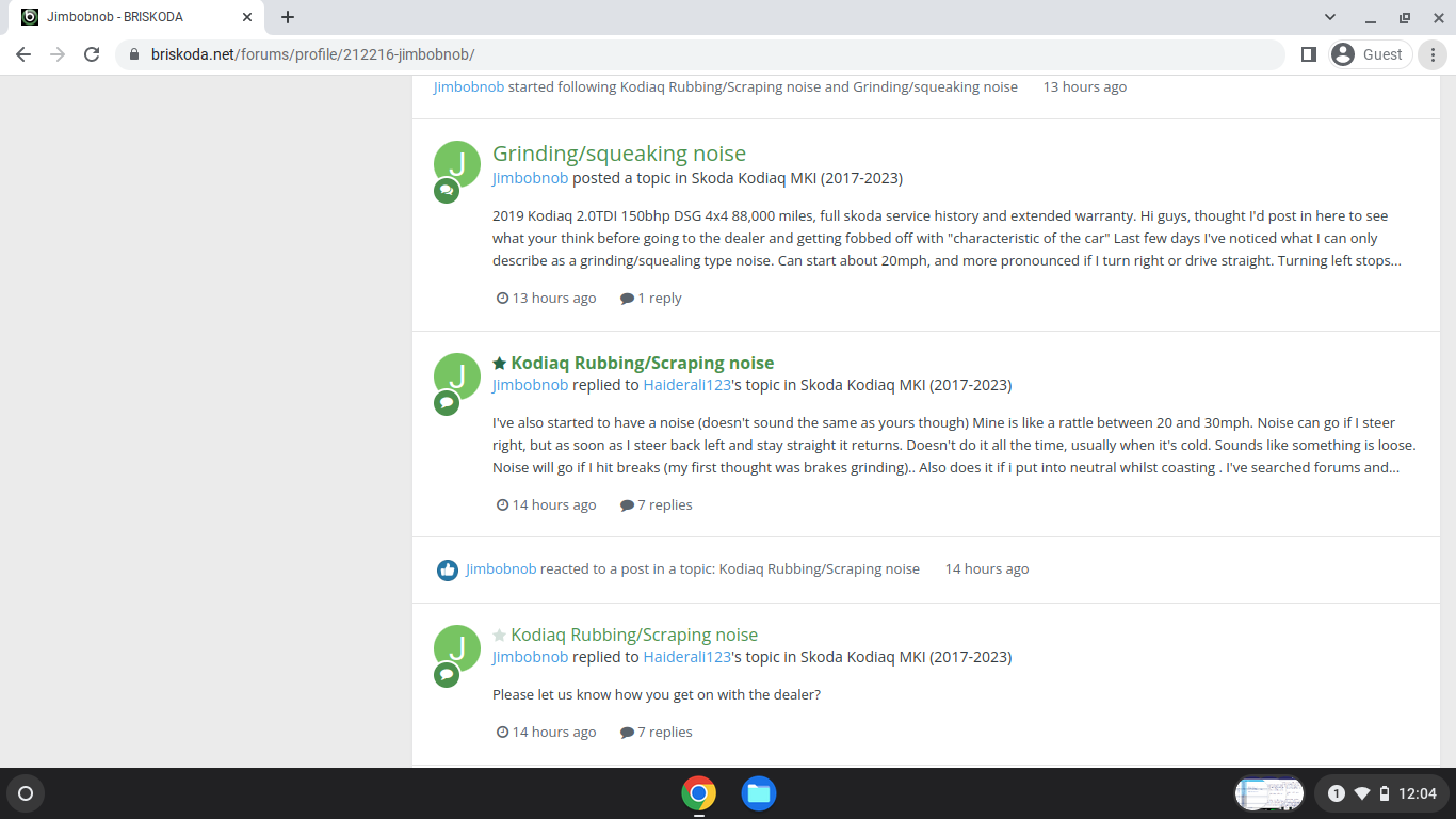 Grinding/squeaking noise - Skoda Kodiaq MK1 (2017-2023) - BRISKODA