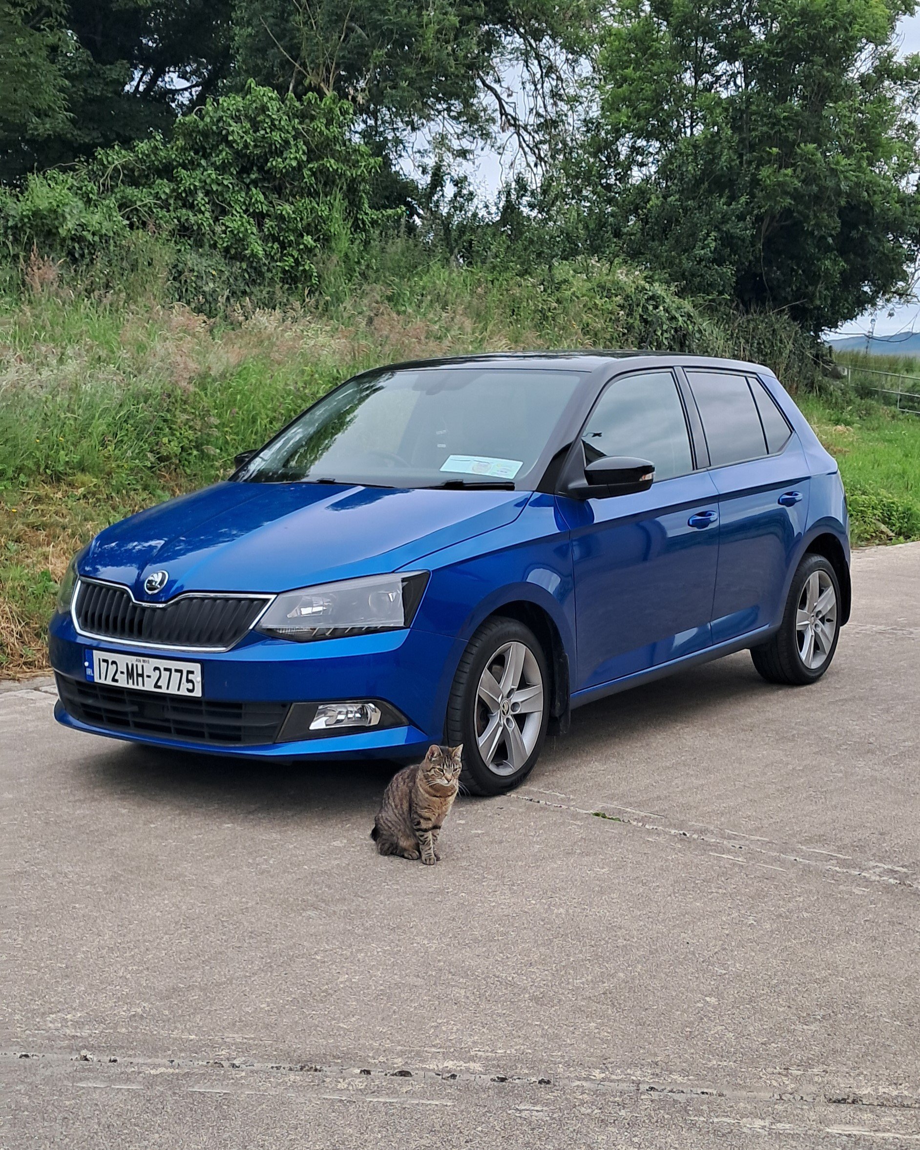 Mk3 Fabia Owners Register - Skoda Fabia Mk3 (2014-2021) - BRISKODA