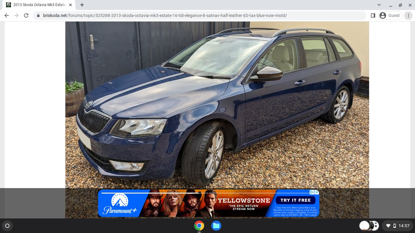 Want to buy estate Octavia - Skoda Octavia Mk3 (2013 - 2020) - BRISKODA