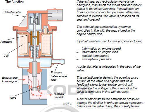 Say Hello to "Sherpa Shetty" (The Yeti) - Skoda Yeti - BRISKODA