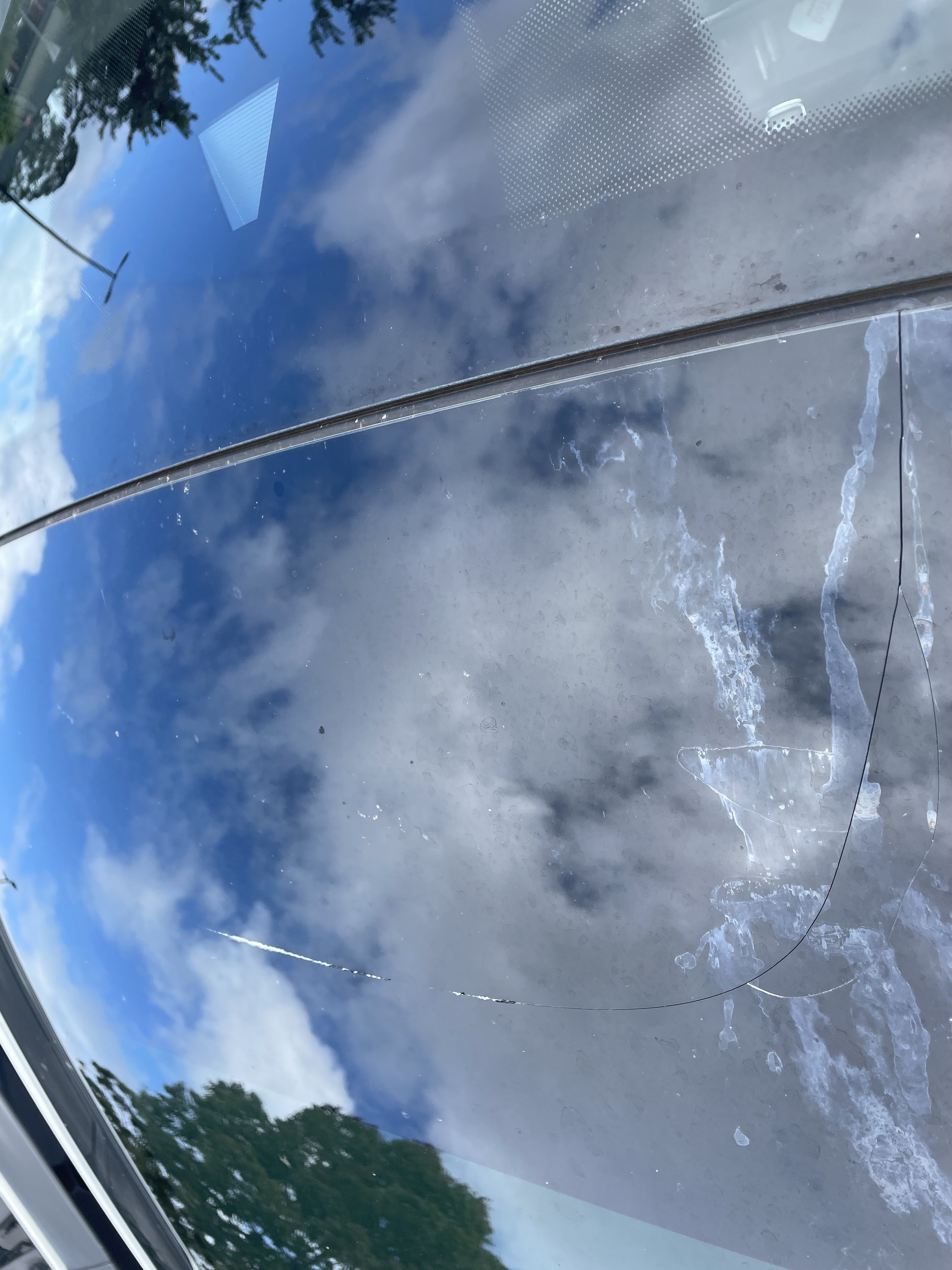 Cracked panoramic roof - Scala - Škoda Scala - BRISKODA