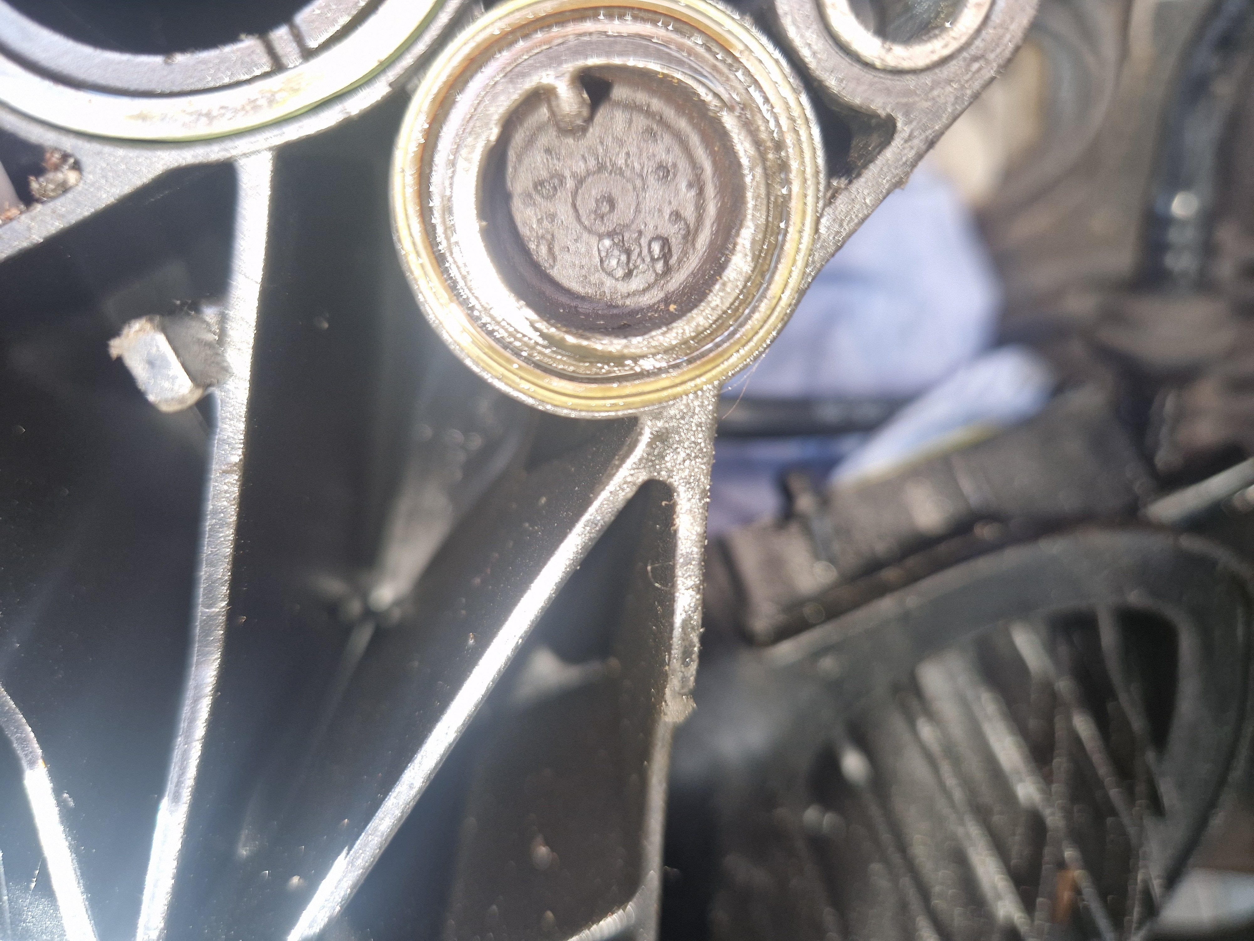 Walnut shell intake cleaning for (GDI) direct injection engines; anyone ...