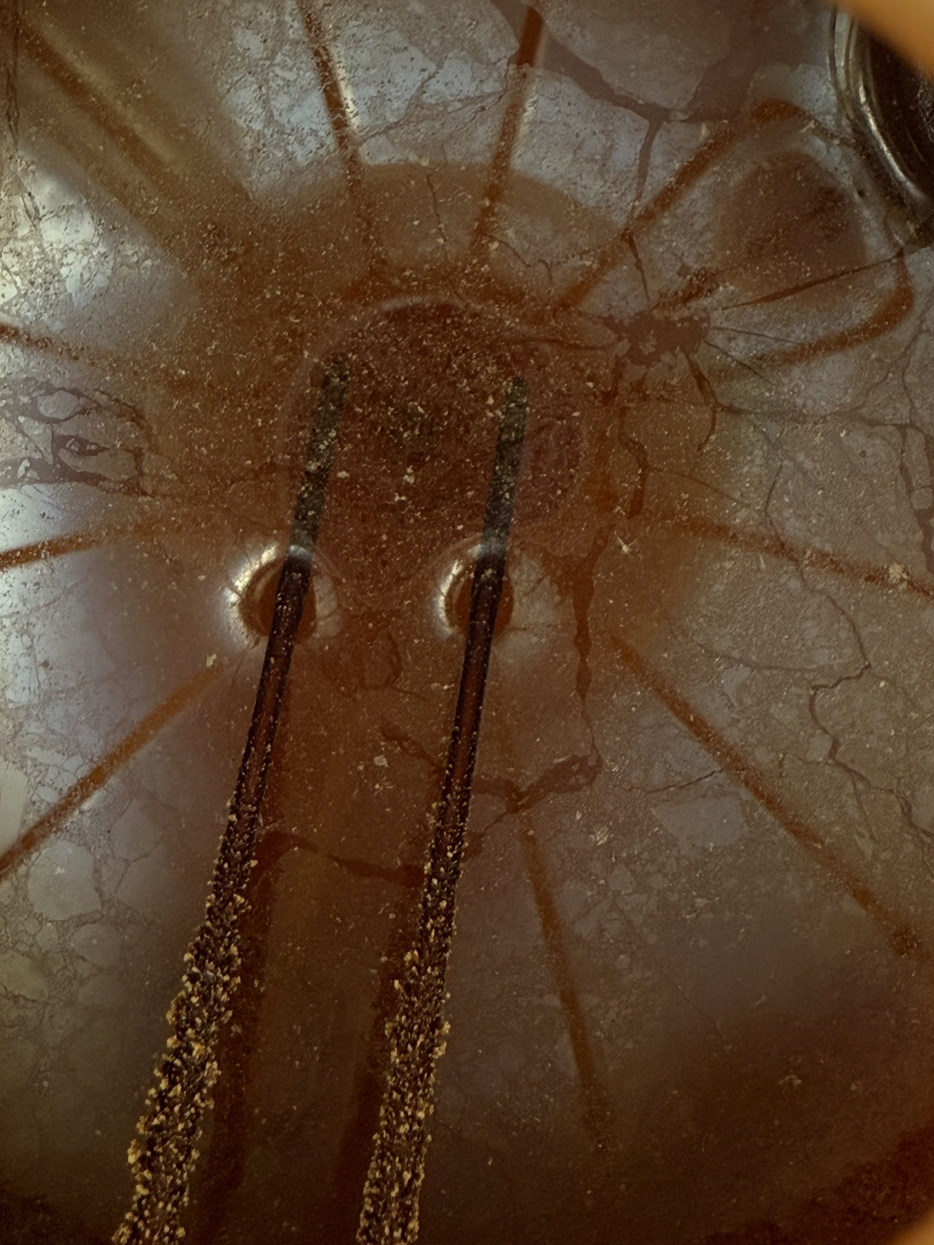 Start-Stop error, p256300 fault code 1.8 TSI 2015 - Skoda Octavia Mk3 ...