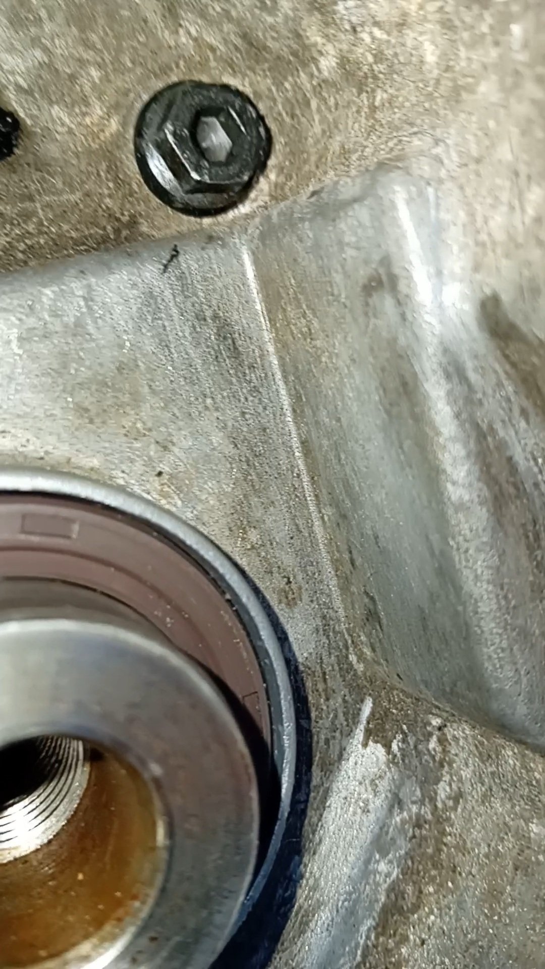 Engine noise - Skoda Octavia Mk4 (2020 > ) - BRISKODA